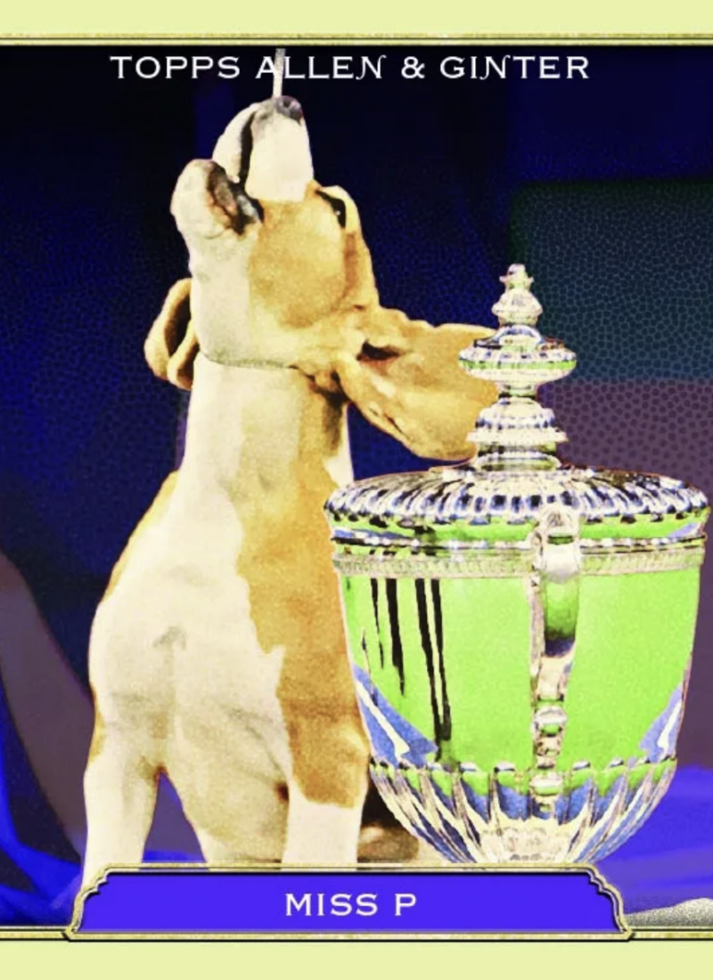 Behind the Design: Behind the Design | 2024 Topps Allen & Ginter Stars ...